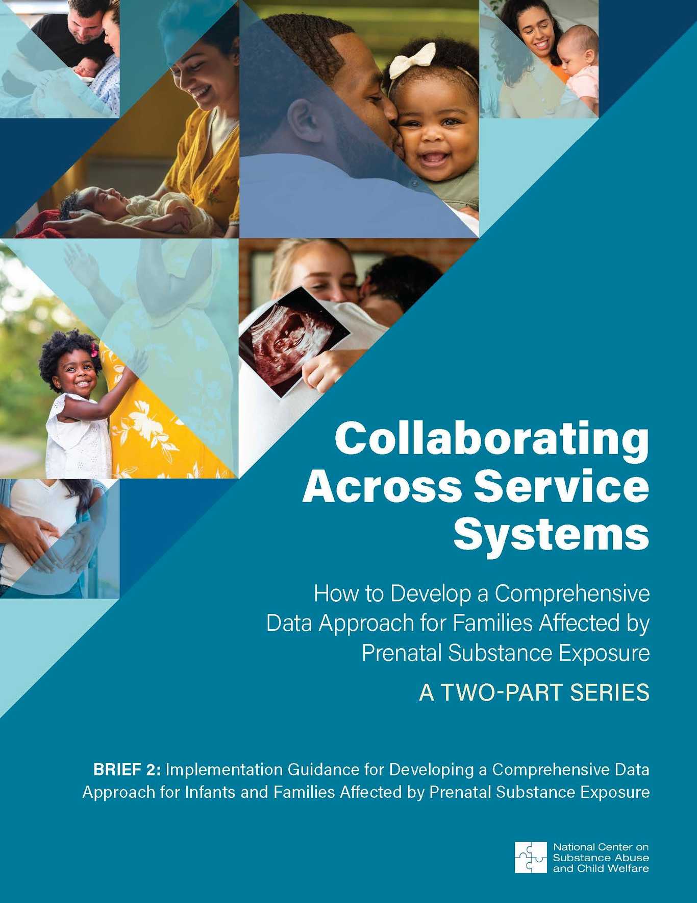 Brief 2: Implementation Guidance for Developing a Comprehensive Data ...