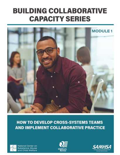 Building Collaborative Capacity Series: How to Develop Cross Systems ...