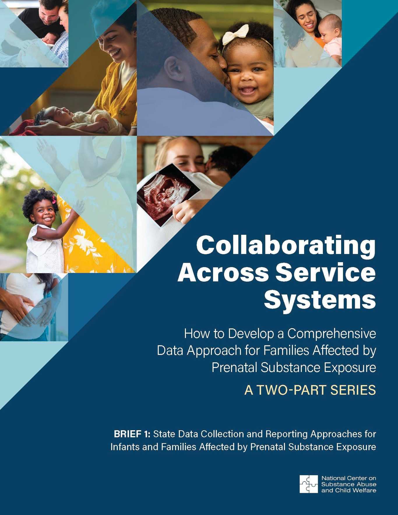 Brief 1: State Data Collection and Reporting Approaches for Infants and ...