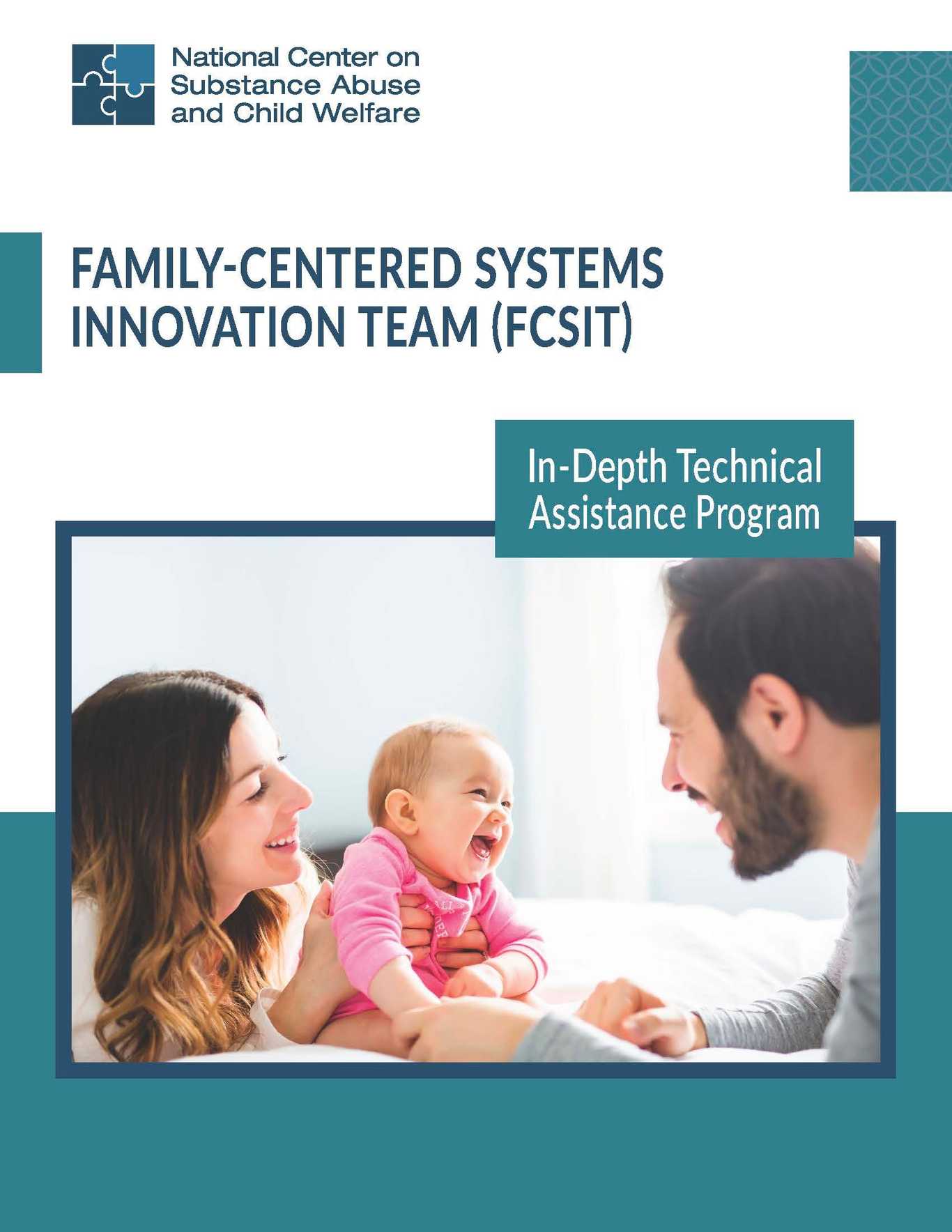 In Depth Technical Assistance Program Description National Center On