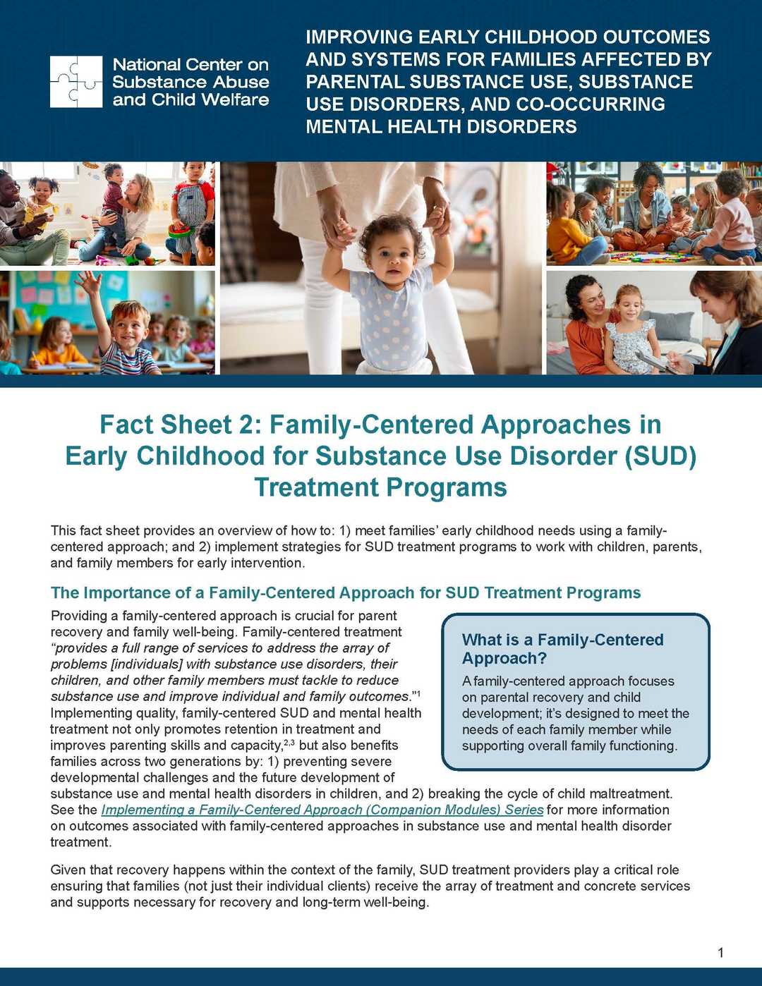 Fact Sheet 2: Family-Centered Approaches in Early Childhood for ...